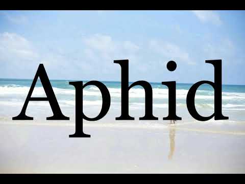 How To Pronounce Aphid🌈🌈🌈🌈🌈🌈Pronunciation Of Aphid