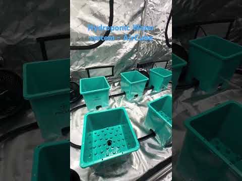 AirCube - Hydroponic Water system indoor cannabis grow