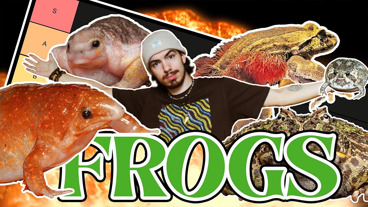 Frog Tier List and Maybe Something Else | Jonstershow