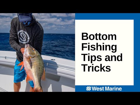 Bottom Fishing Tips Presented by Into the Blue