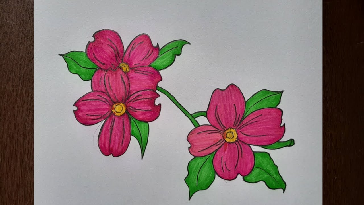 How to draw Dogwood flower 🌸 | Easy step by step Drawing for kids and beginners | Draw with Dark