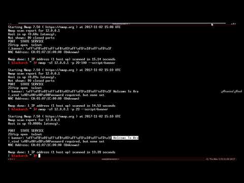 Banner grabbing with Nmap NSE in Kali Linux nmap network Mapper