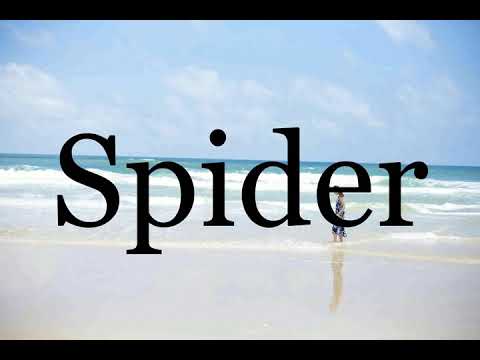 How To Pronounce Spider🌈🌈🌈🌈🌈🌈Pronunciation Of Spider