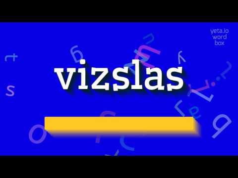 How to say "vizslas"! (High Quality Voices)