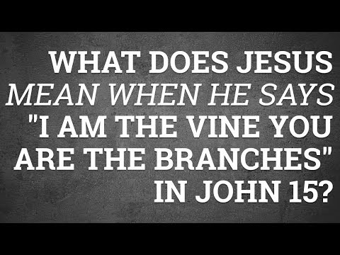 What Does Jesus Mean When He Says "I Am the Vine You Are the Branches" in John 15?