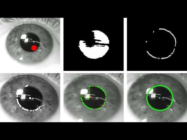 Understanding Pupil Fitting in Eye Tracking Algorithms | Galaxy.ai ...