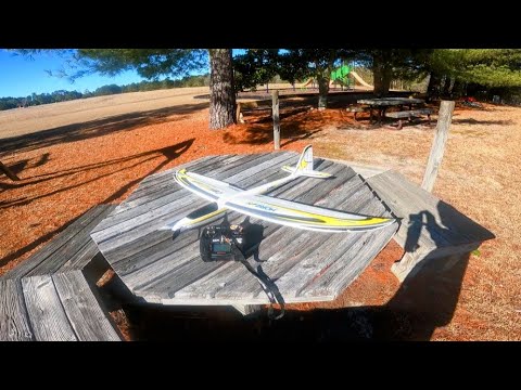 Conscendo EVO RC Plane! (With a twist)