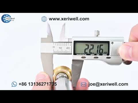 CAT12G Hydraulic Pump repair ktis-piston Shoe|bondioli pavesi pump parts|bondioli hydraulic motor|