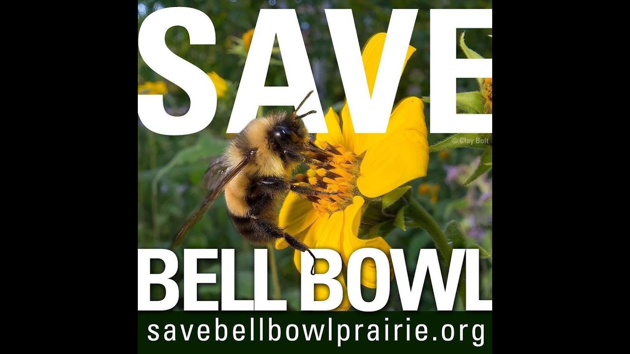 Bell Bowl Prairie Documentary