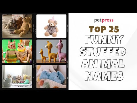 25 Funny Stuffed Animal Names That Are Just Too Cute 🧸 | PetPress