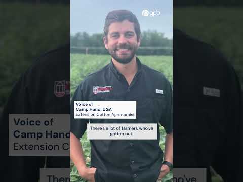 Low cotton demand is pushing Georgia's farmers out of the industry