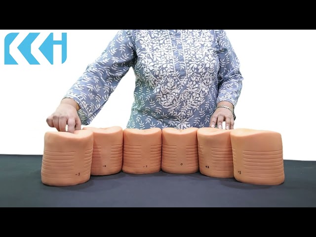 Birthing Simulator - Prenatal Cervix and Birth Canal Model Manufacturer ...