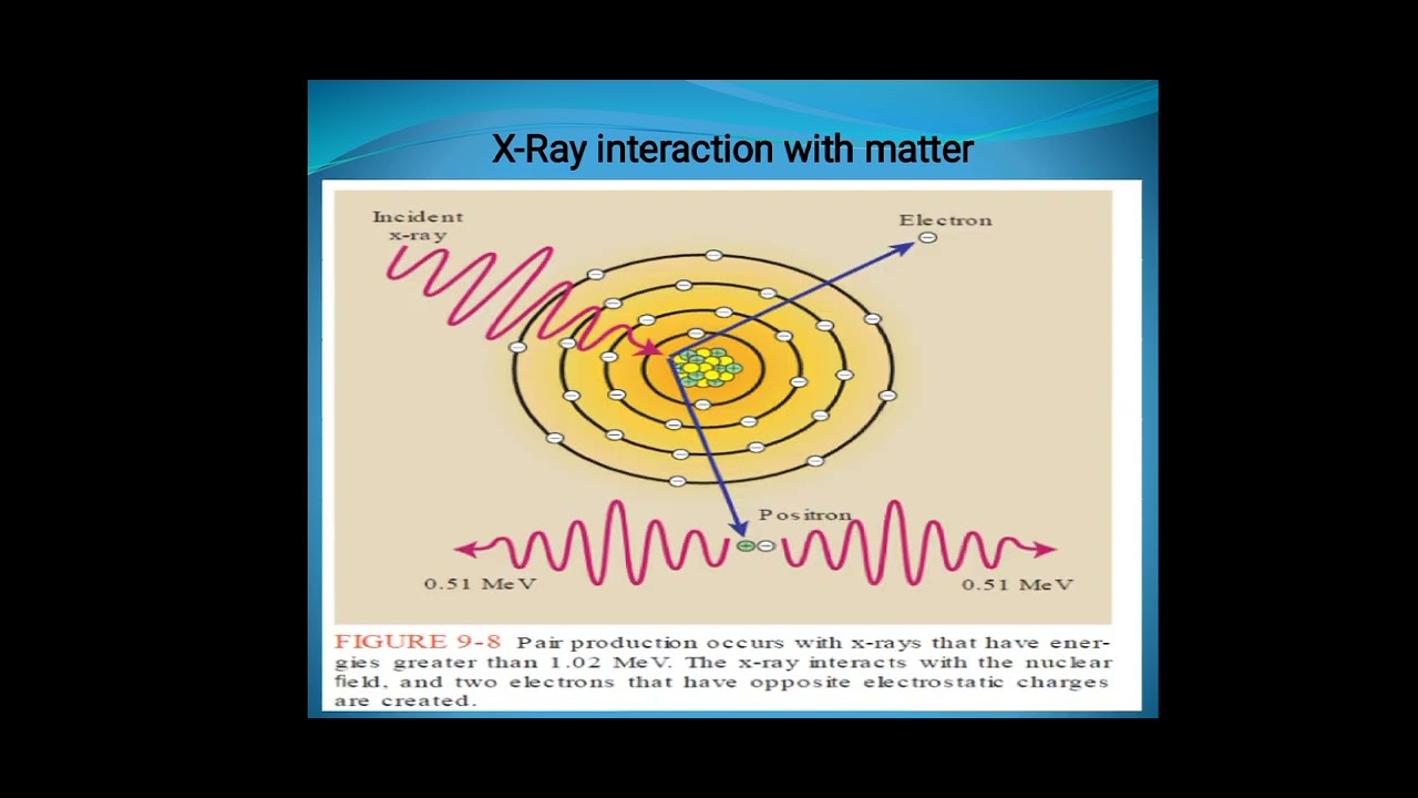 Understanding X-ray Photon Interactions: A Deep Dive into Absorption ...