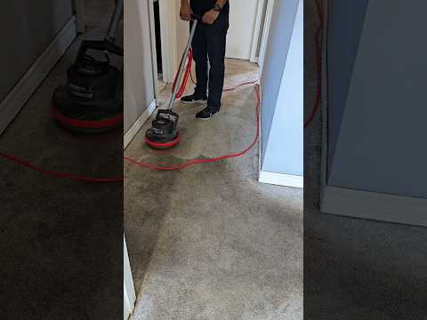 Carpet Cleaning Rental Properties
