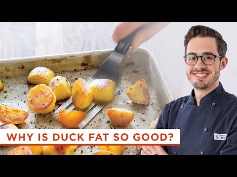 Why Does Cooking with Animal Fat Taste so Good?