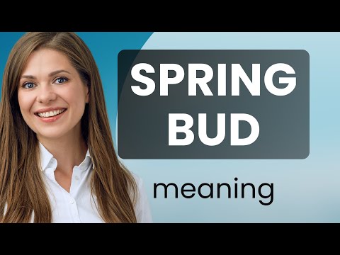 Unfolding Meanings: The Phrase "Spring Bud" in English