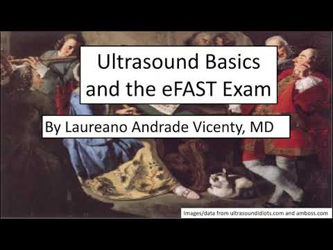 Ultrasound Basics & the eFAST Exam