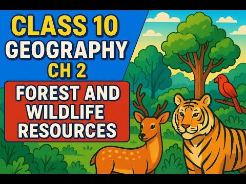 GEOGRAPHY | 🌳 Forest & Wildlife Resources 🌳 | Explanation in short | pdf notes | class 10 sst CBSE