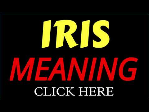 What does the name IRIS mean | IRIS meaning in english | Meaning of name IRIS