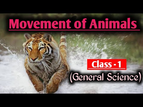 Movement of Animals | General Science | Class 1|Chapter explanations | Worksheets