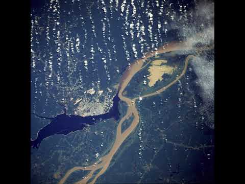 Biological Dynamics of Forest Fragments Project | Wikipedia audio article