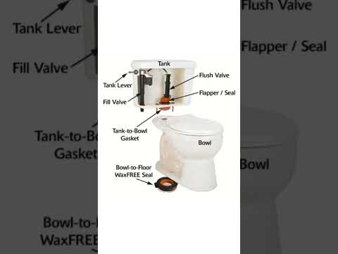 11 parts of western toilet.Their name & bowl parts #basic_shorts_knowledge bathroom English seet