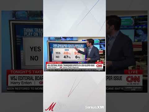 Megyn Kelly on Even CNN Admitting "Transgender Athletes" is a Serious Issue in the 2024 Election