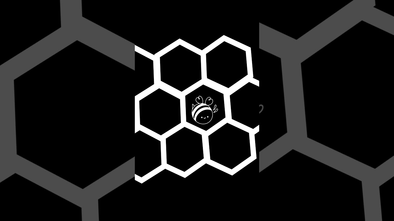 Black and White Bee | High-Contrast Visual Sensory for Babies #babysensory #cute #baby