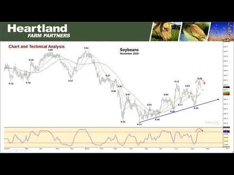 November Soybean Chart 8-20-20 | Heartland Farm Partners