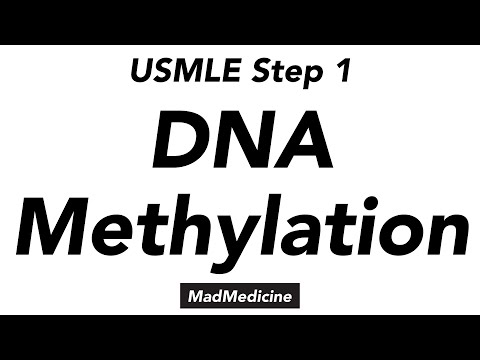 DNA Methylation - Biochemistry - USMLE Step 1