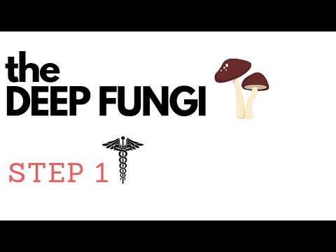Systemic Mycoses | Histoplasma, Blastomycosis, Coccidiodes & Paracoccidiodes |STEP 1|