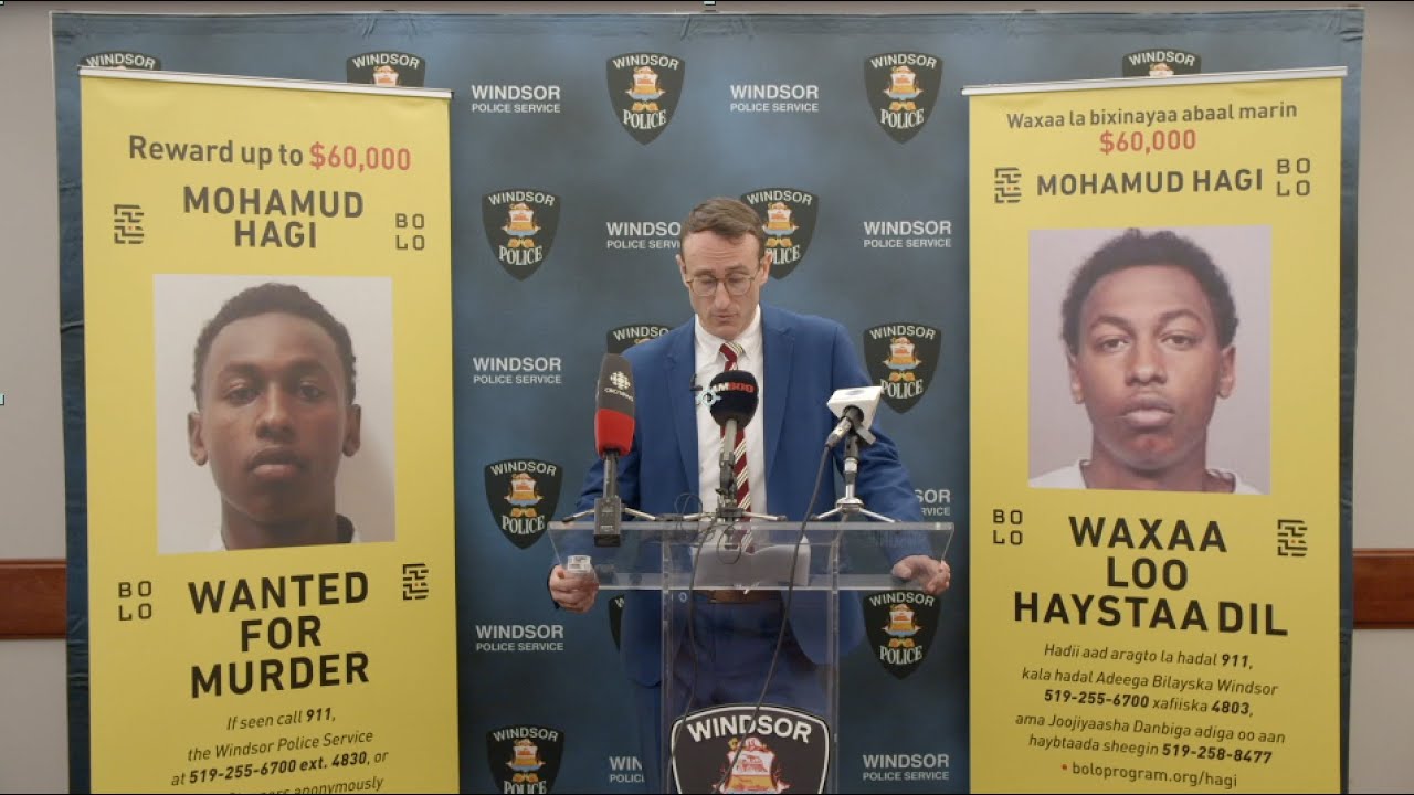 Programme Bolo - Nouvelles