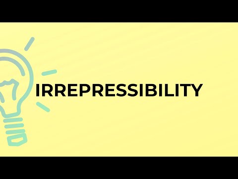 What is the meaning of the word IRREPRESSIBILITY?