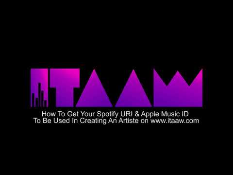 How to Create An artist and Get Spotify URI and Apple Music ID
