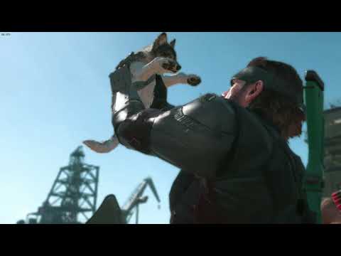 Steam Community :: Video :: El perrito de Snake | METAL GEAR SOLID V ...