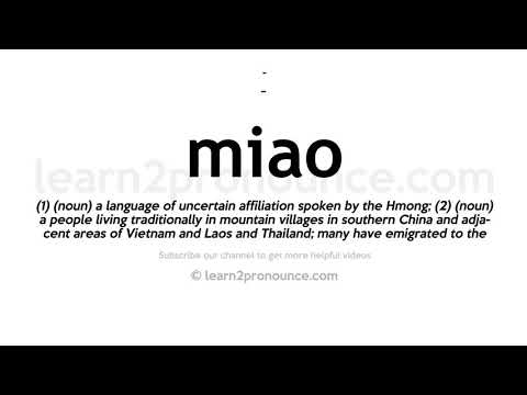 Pronunciation of Miao | Definition of Miao