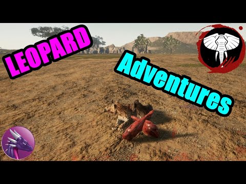 The Life Of A Leopard | Animalia Survival