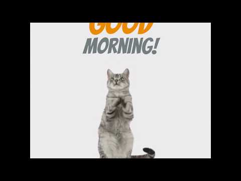 Good Morning animation video free download
