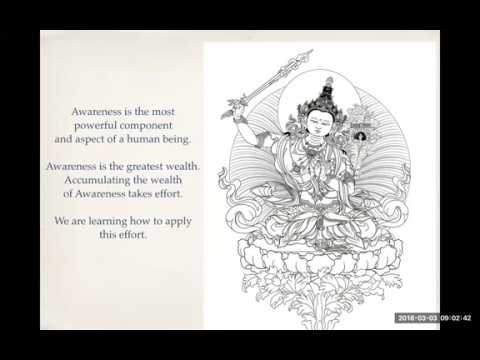 advancing meditation: The why’s of shamatha training (video) | Blazing ...