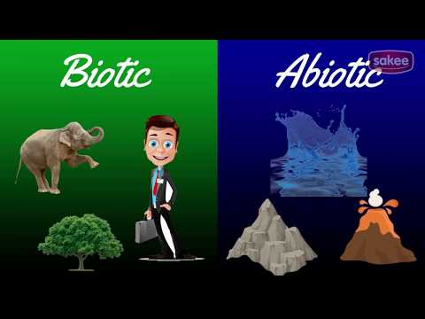 Our Environment Biotic and Abiotic | Components of Environment