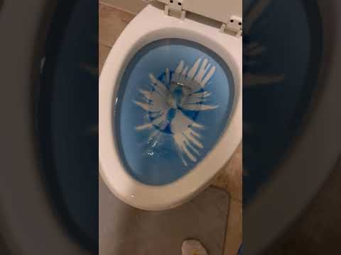 Lysol Power Toilet Bowl Cleaner: Worth it?
