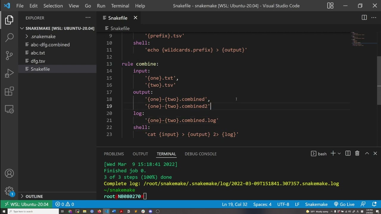 Snakemake #8 Using wildcards to generalise your workflows and basic trouble shooting