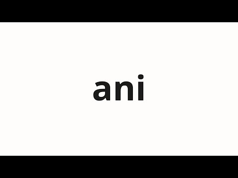 How to pronounce ani | γ’γ (Ani in Japanese)