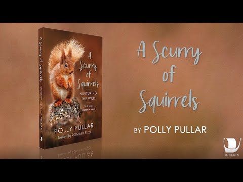 A Scurry of Squirrels by Polly Pullar ~ In Conversation with Mark Stephen