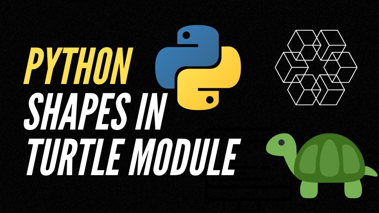 Python Tutorial - Turtle Module Shapes