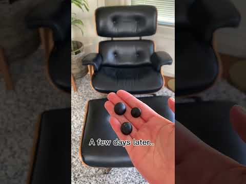 I sold an Eames Lounge Chair! One Flip closer to our goal of $25000!💰 #furniture #shorts #homedecor