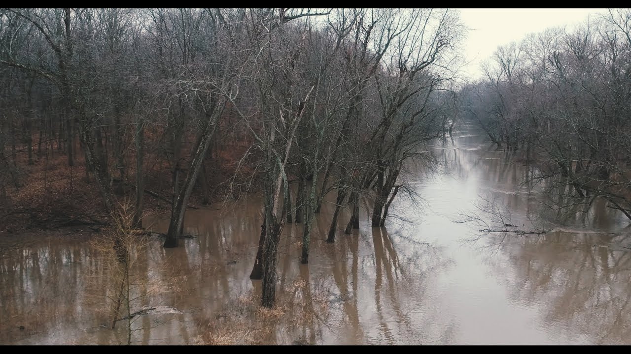 Life On a Floodplain