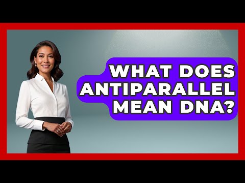 What Does Antiparallel Mean DNA? - Biology For Everyone