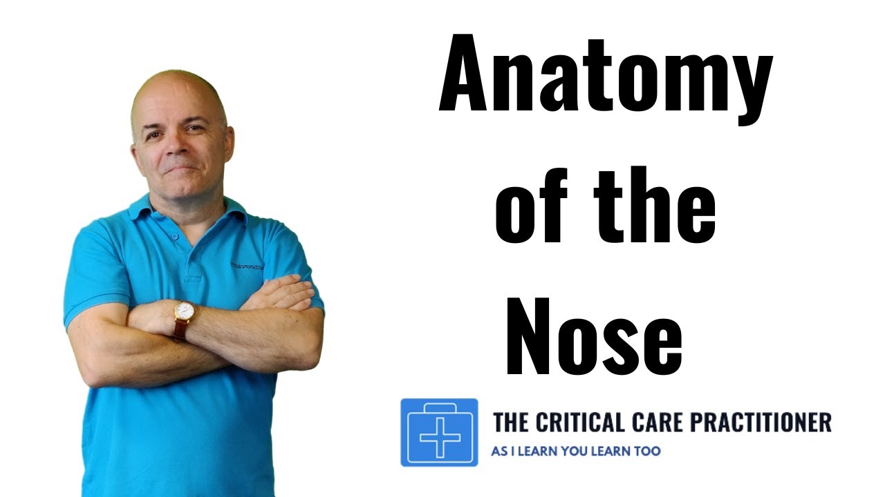 Anatomy and Physiology of the Nose