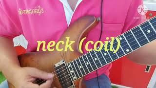 Schecter C-1 Exotic Electric Guitar - What To Know & Where To Buy ...